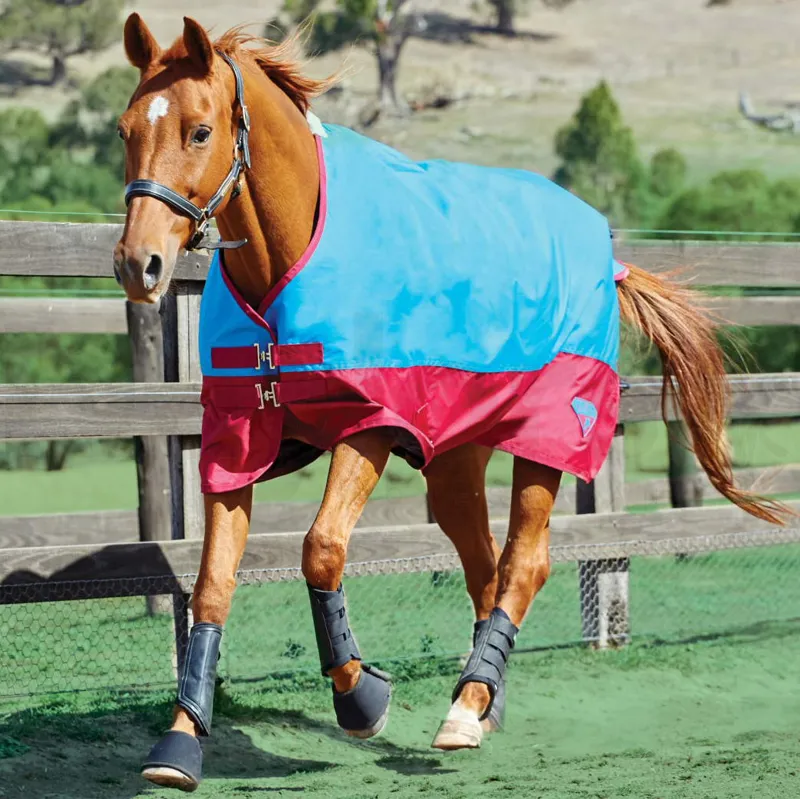 Saxon 600 Standard Light 0g Turnout Rug - Blue/Cerise