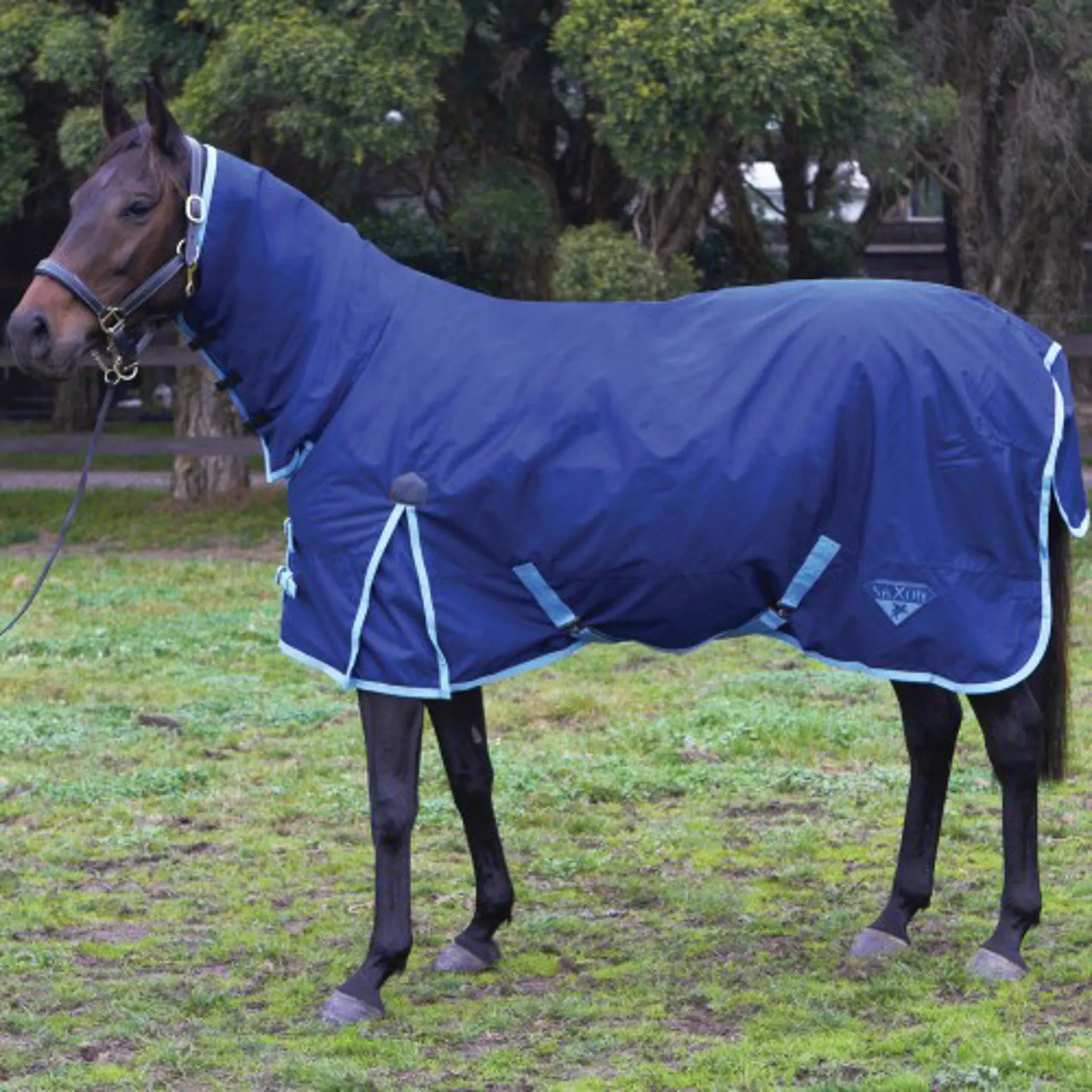Saxon 600D Medium Combo Fixed Neck Turnout Rug 180g - Navy/Light
