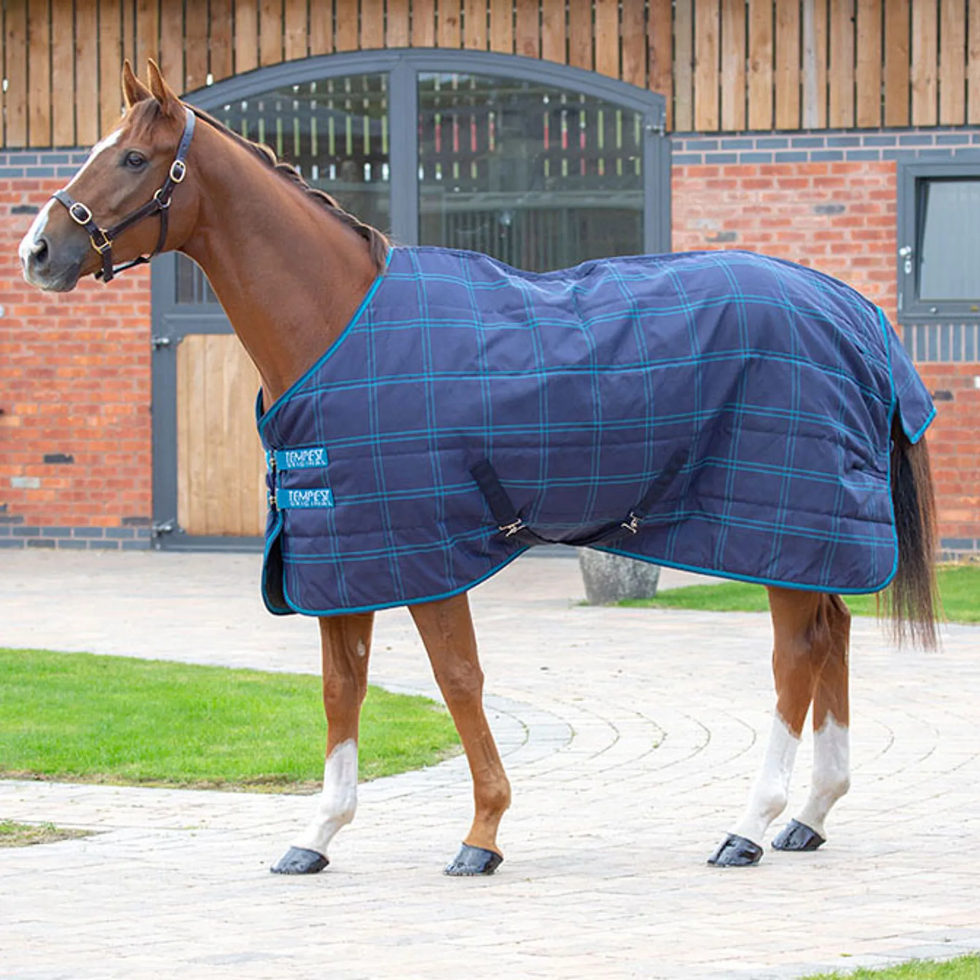 Shires Tempest Plus 100 Standard Neck Stable Rug Navy/Blue Check
