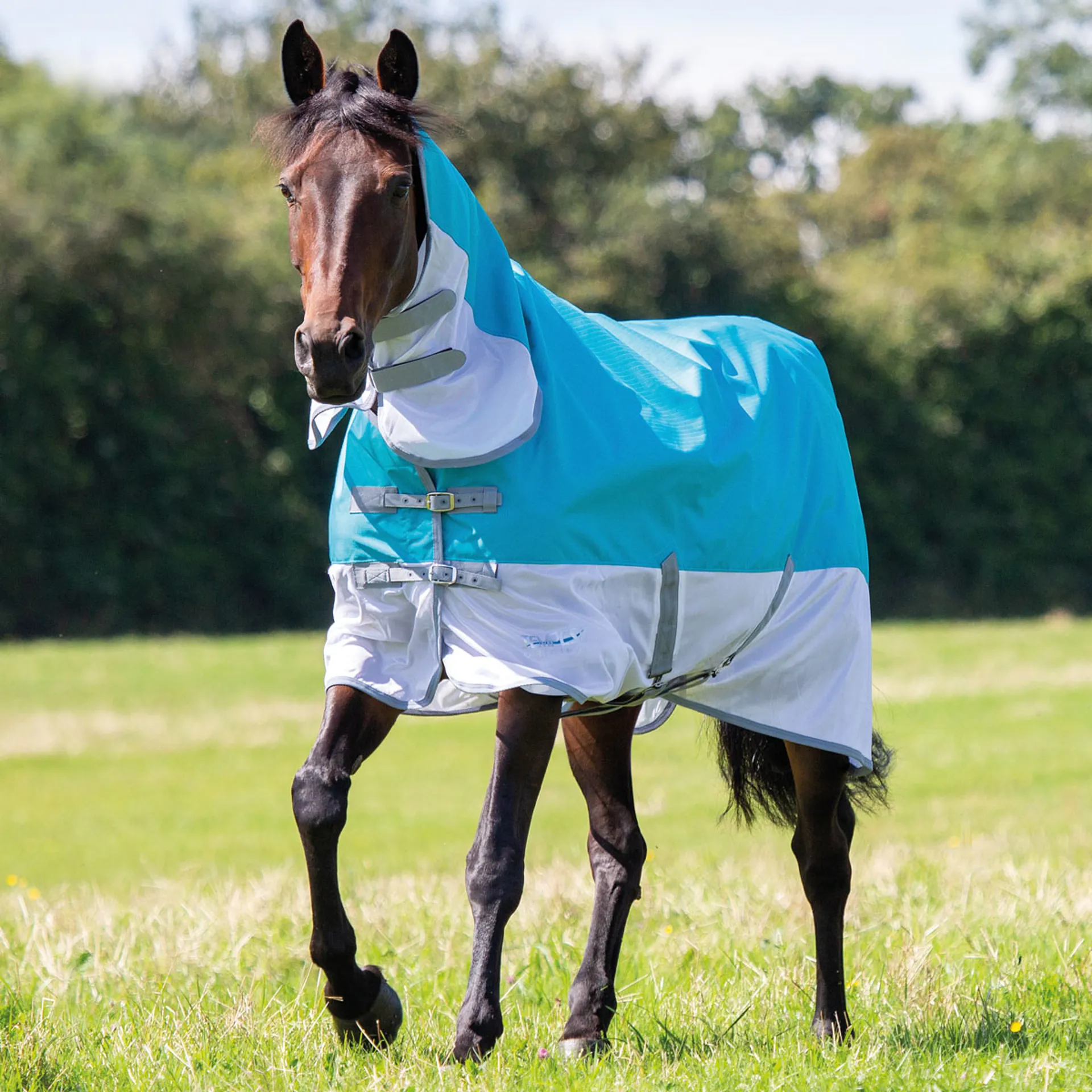 Shires Tempest Original Waterproof Combo Neck Fly Rug - Teal