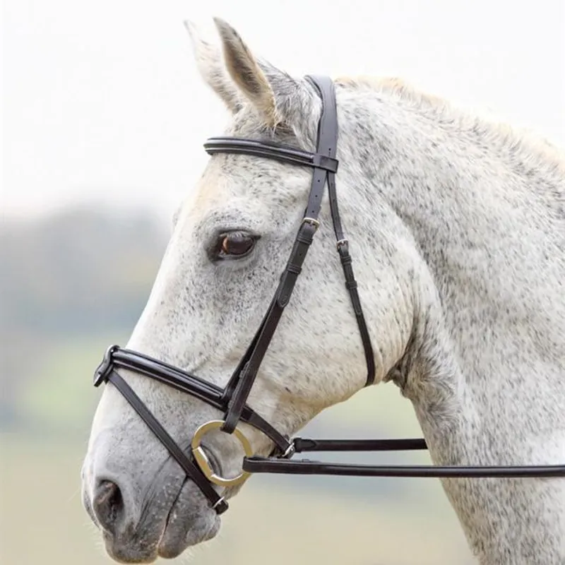 Shires Argenta Patent Flash Bridle with Rubber Grip Reins - Black