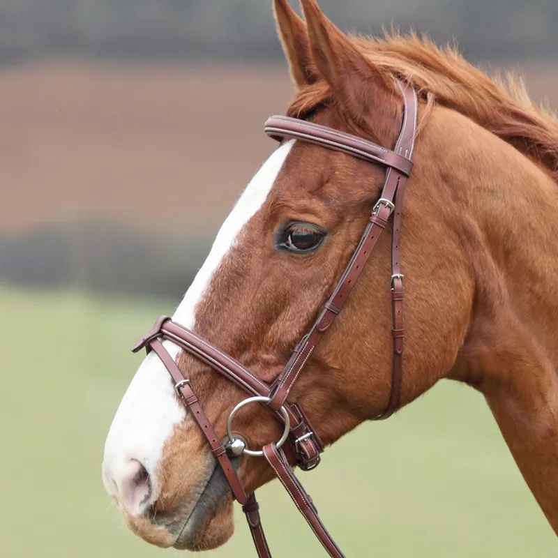 Shires Avignon Comfort Flash Bridle with Rubber Grip Reins - Oak