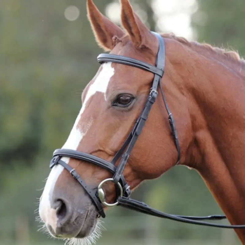 Shires Avignon Comfort Flash Bridle with Rubber Grip Reins - Blac