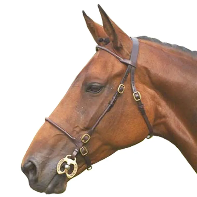 Shires James Sterling Rolled In-Hand Bridle - Havana Brown - Pony