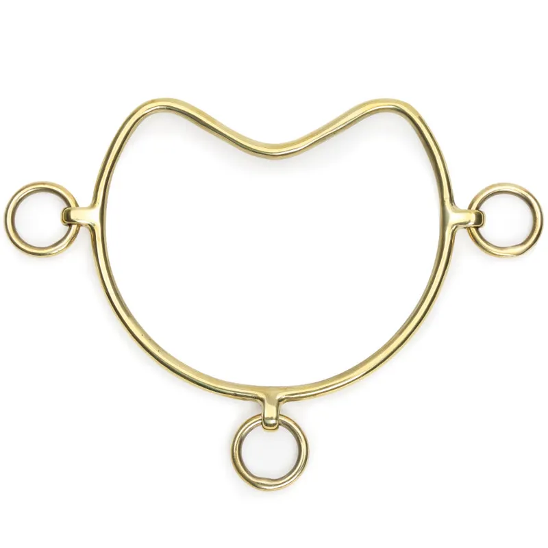 Shires Chifney Bit - Brass