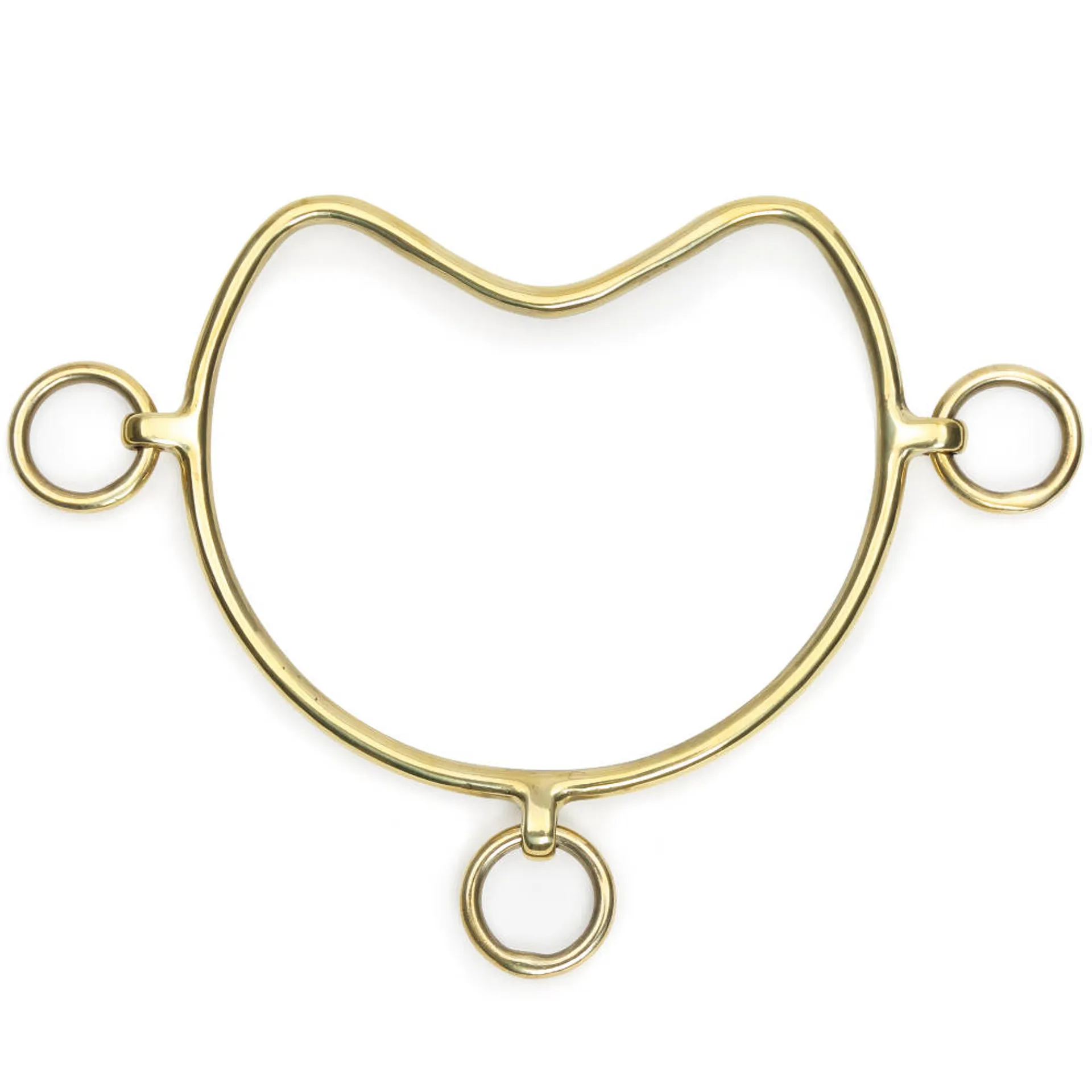 Shires Chifney Bit - Brass