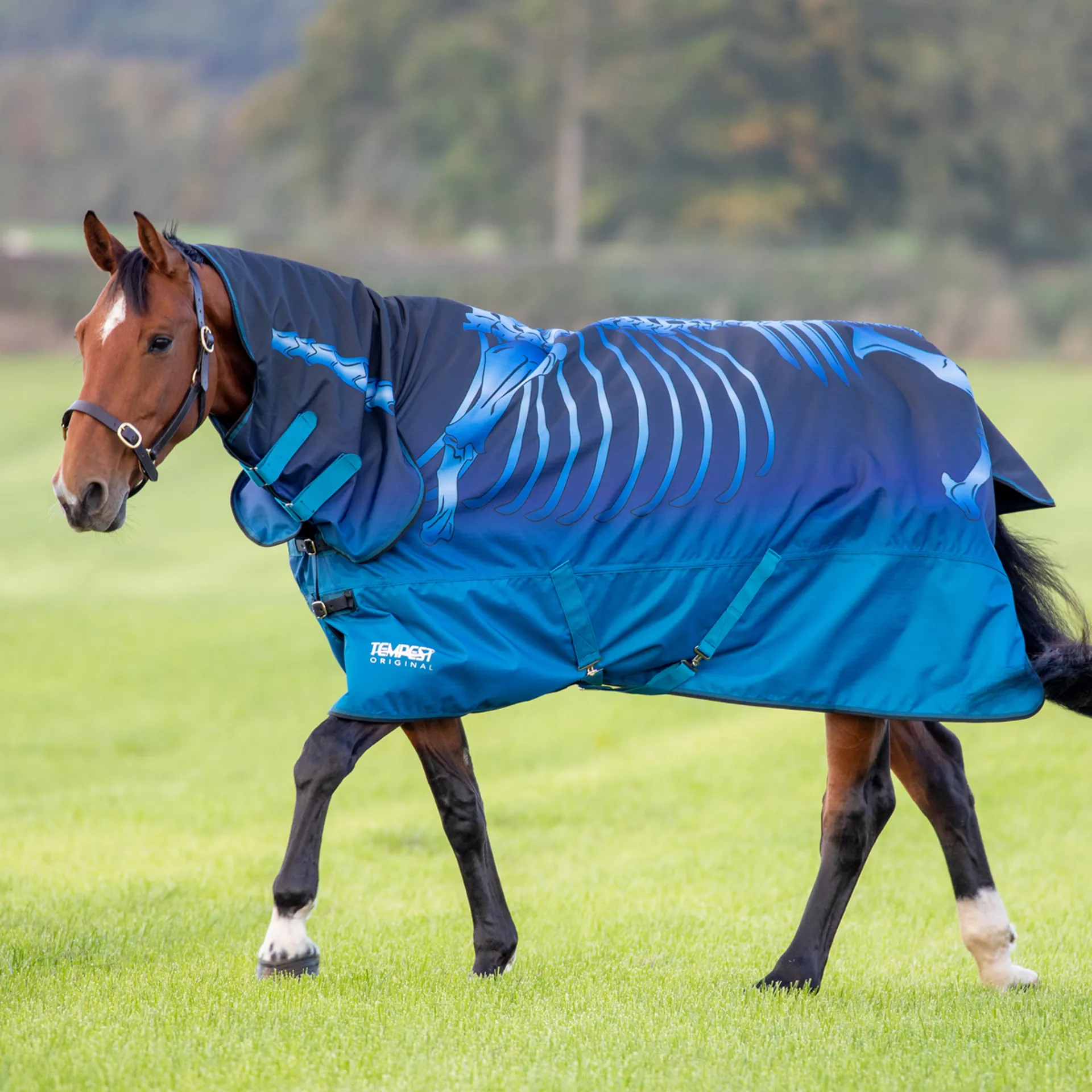 Shires Tempest Original 0g Combo Neck Turnout Rug - Blue Skeleton