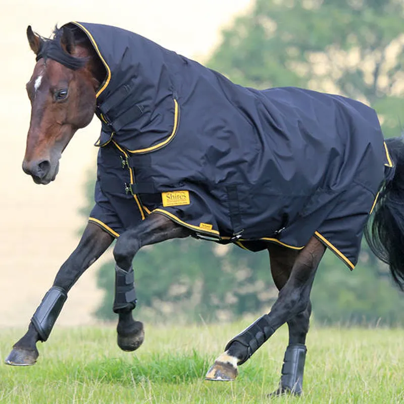 Shires Tempest Original 100g Combo Turnout Rug - Black/Gold