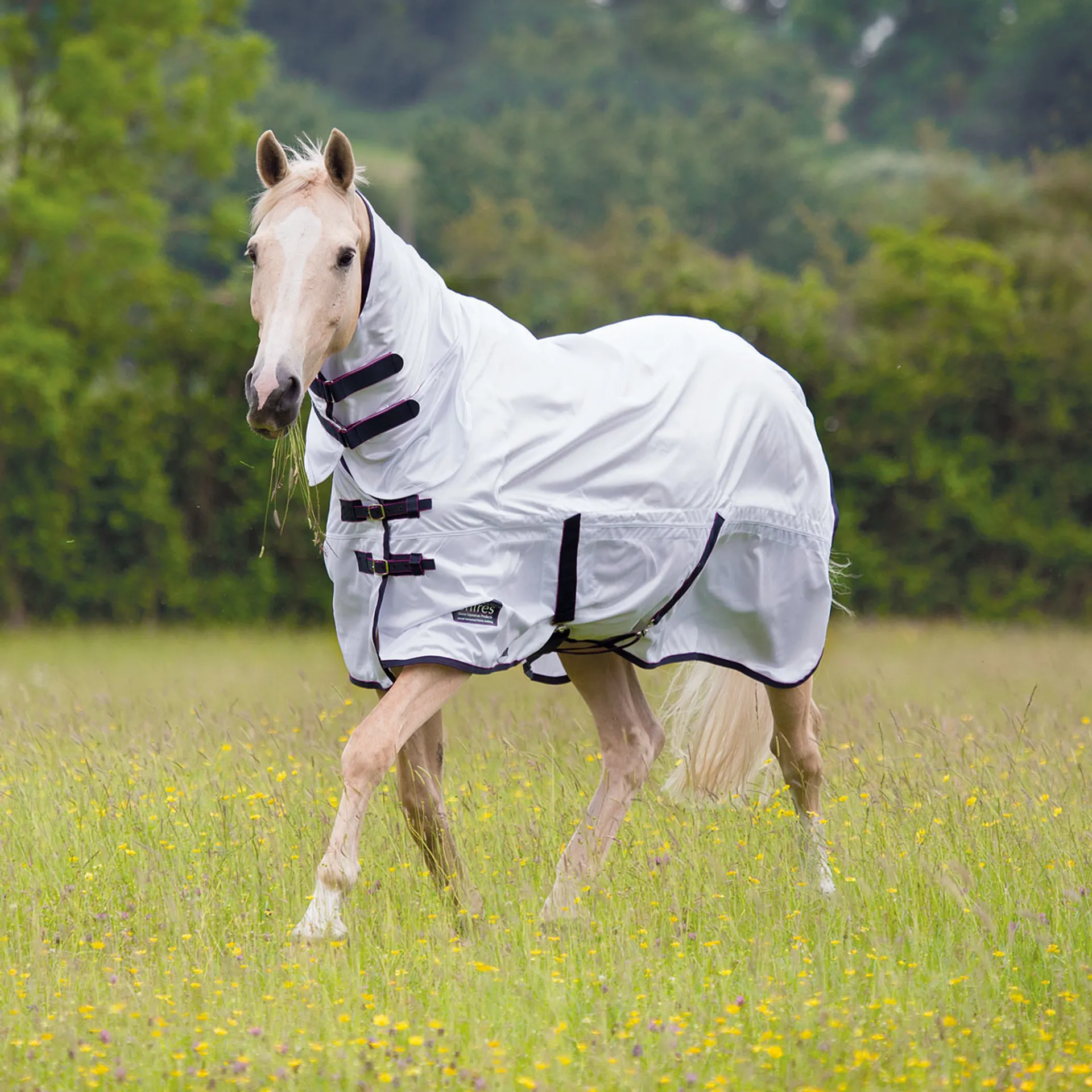 Shires Tempest Original Combo Neck Fly Rug - White/Fuchsia/Navy