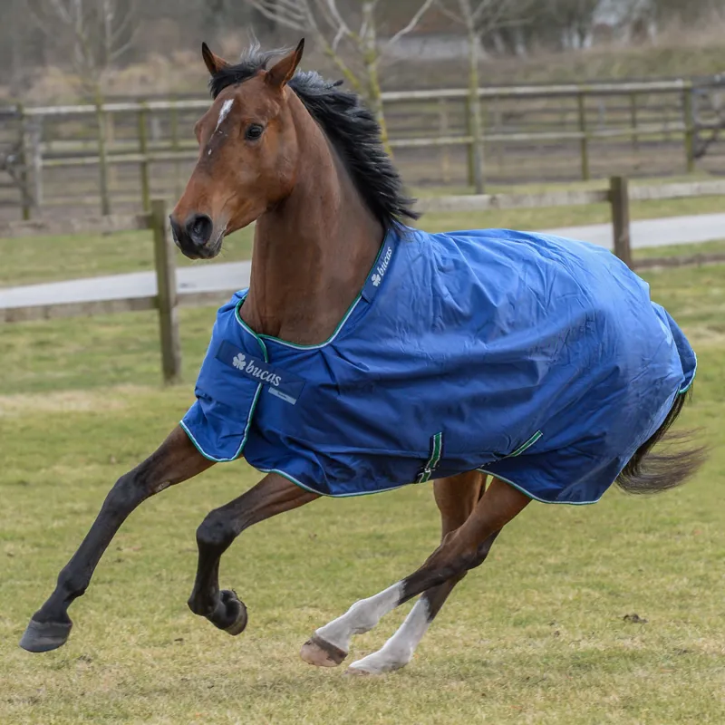 Bucas Smartex Medium Weight Turnout Rug - Blue
