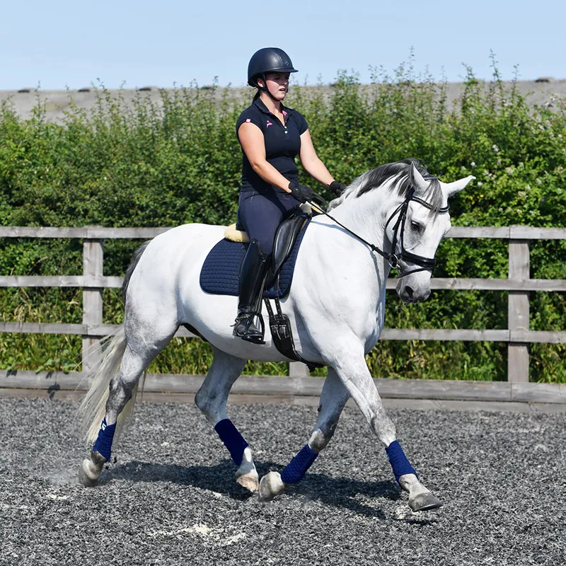 Equilibrium Stretch and Flex Flatwork Wraps - Navy