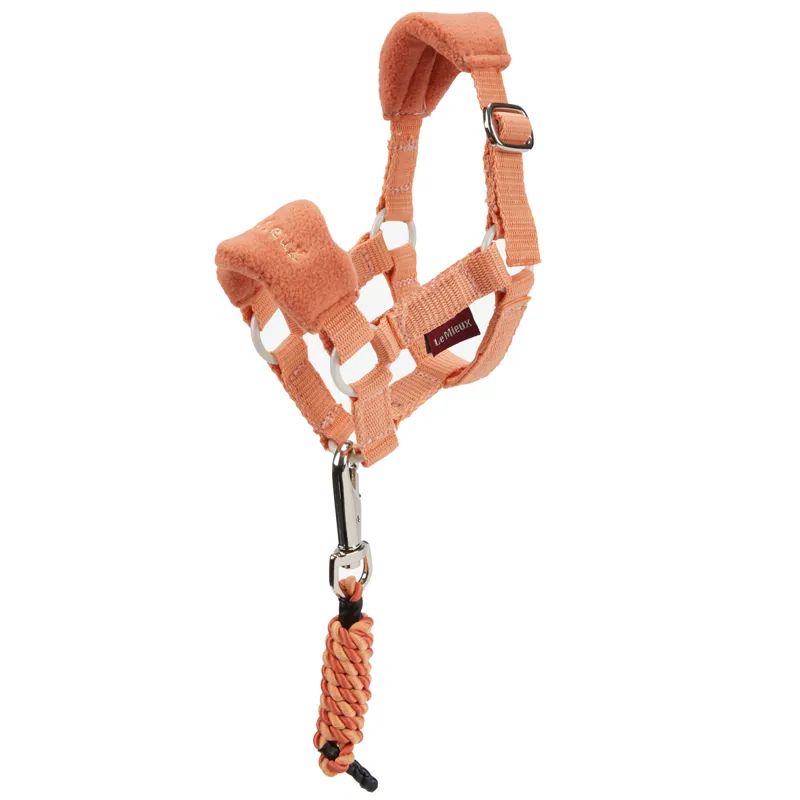 LeMieux Mini Toy Pony Vogue Headcollar - Apricot