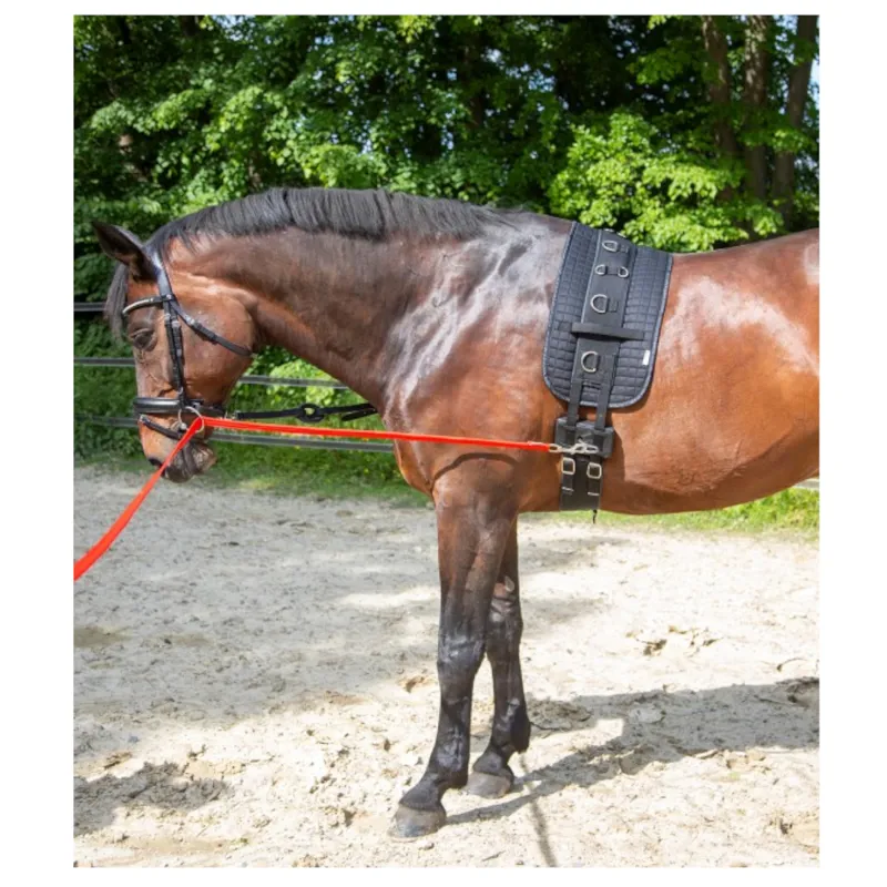 Waldhausen Equibender Lunging Aid - Black