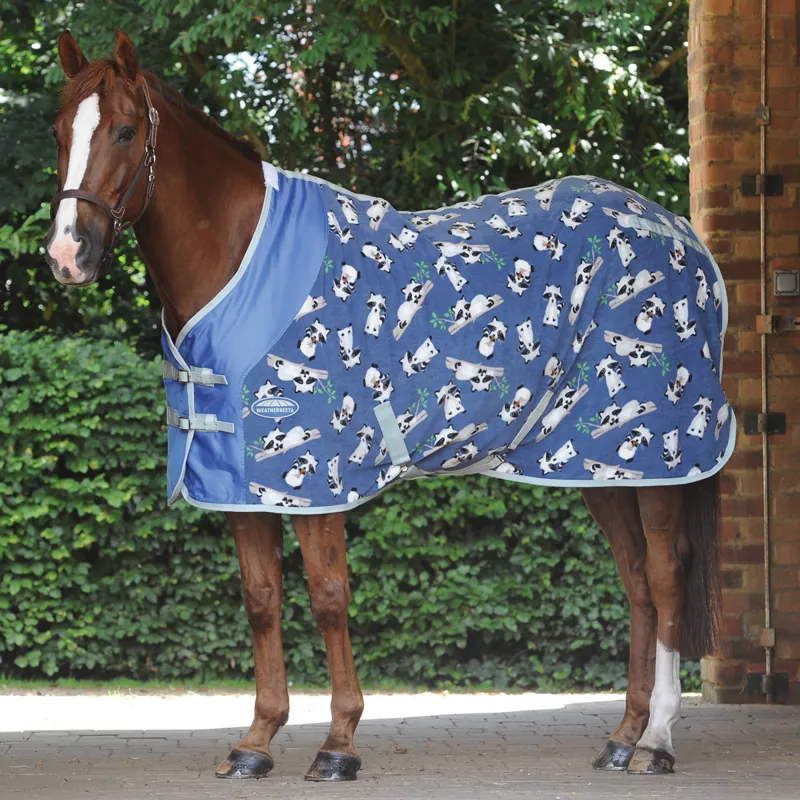 Weatherbeeta Turnout Rugs, Stable Rugs & More | Redpost