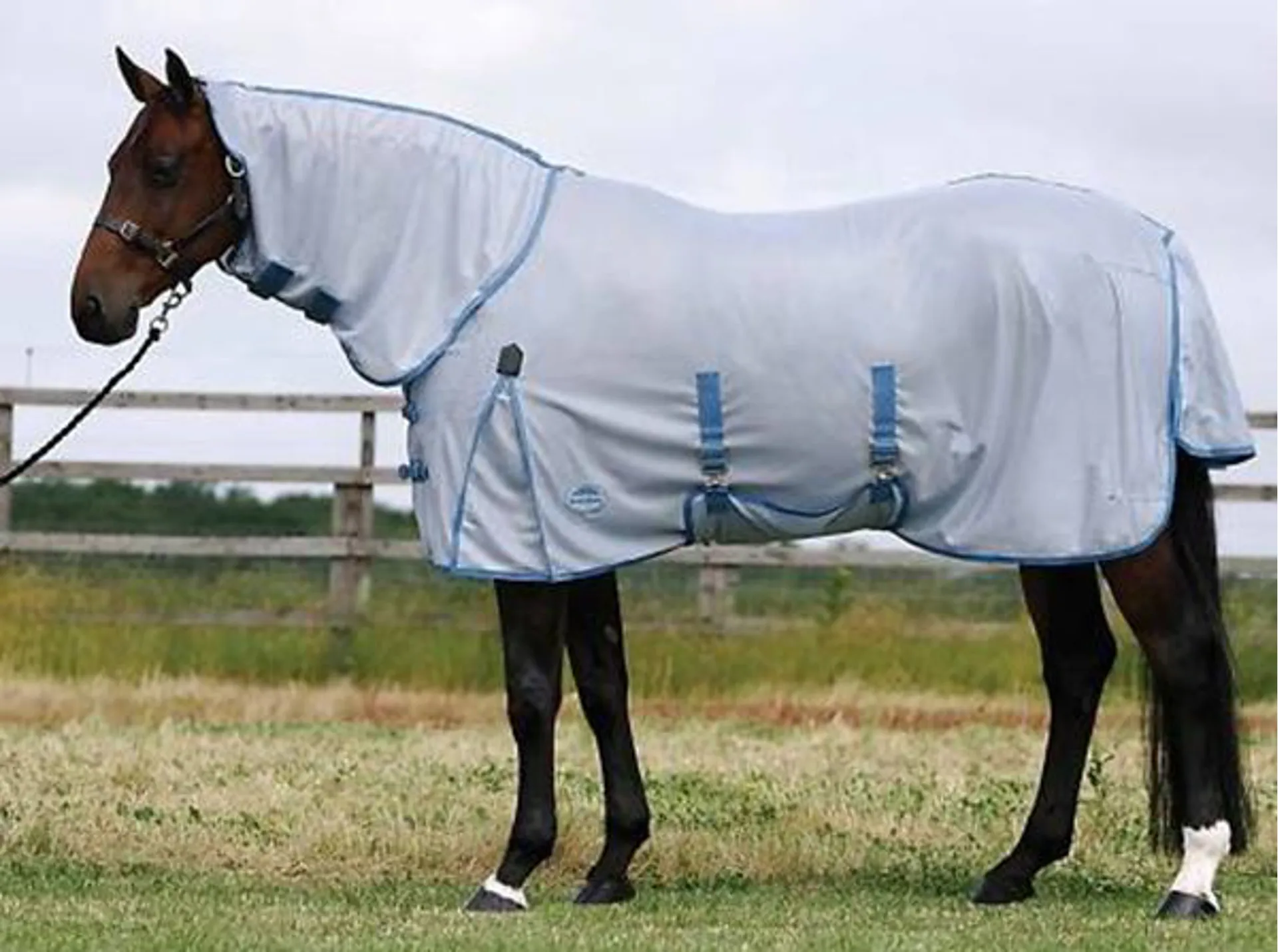 Weatherbeeta Airflow Full Neck Combo Fly Rug - Buzz/Splat Pattern