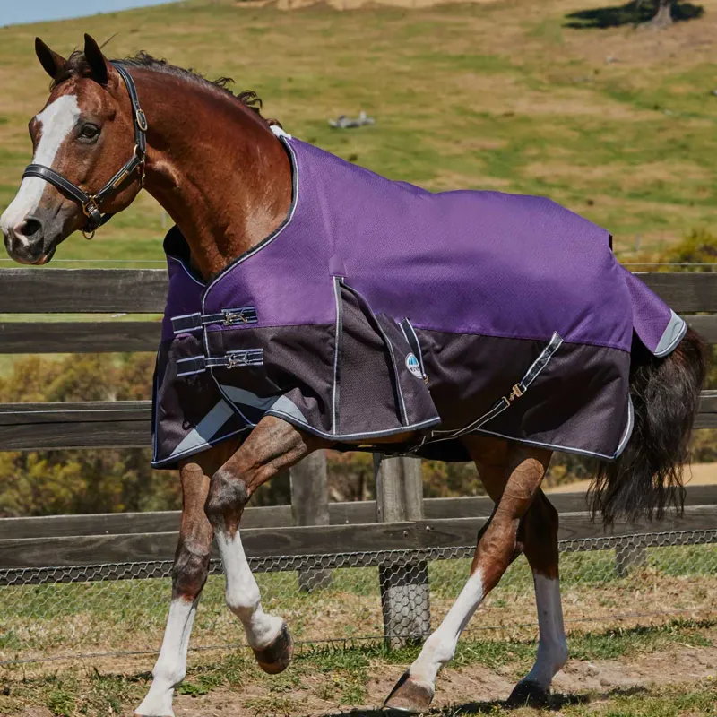 WeatherBeeta ComFiTec Plus Dynamic 0g Turnout Rug - Purple/Black