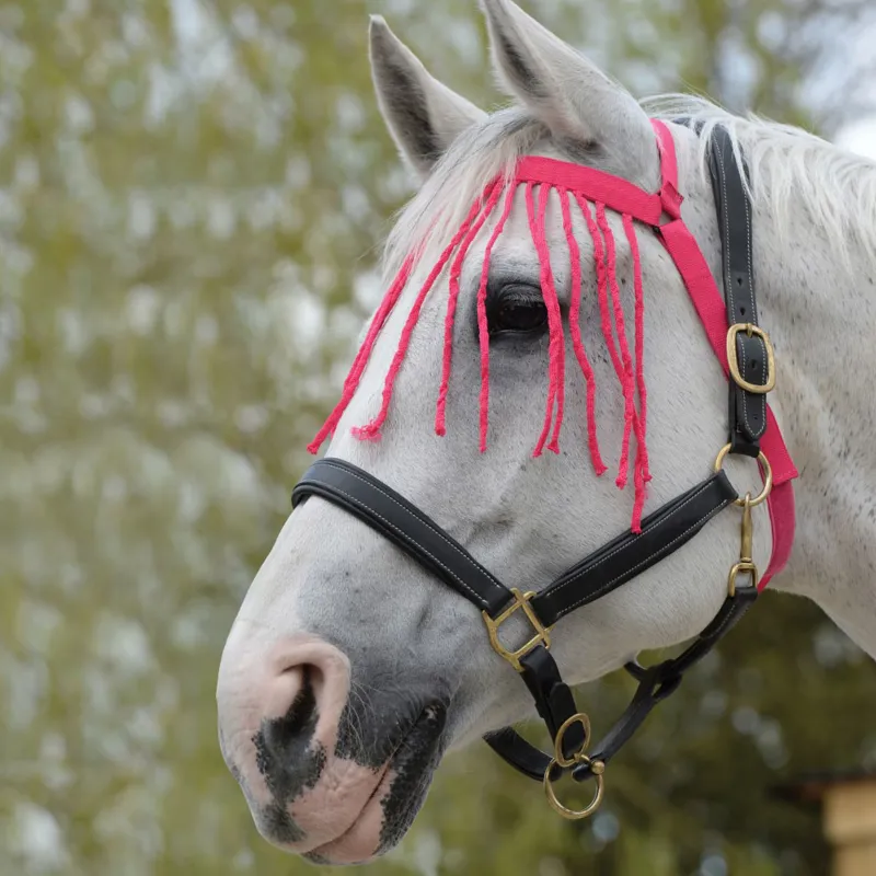 Roma Fly Fringe - Hot Pink