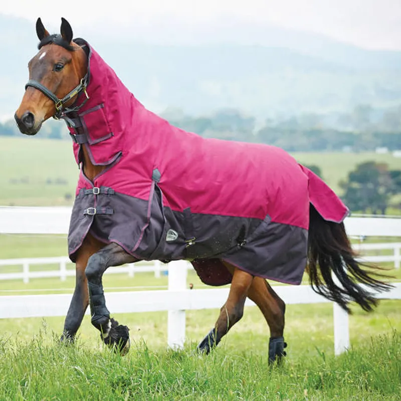 Weatherbeeta Original 1200D Medium 220g Combo Turnout Rug - Plum/Grey