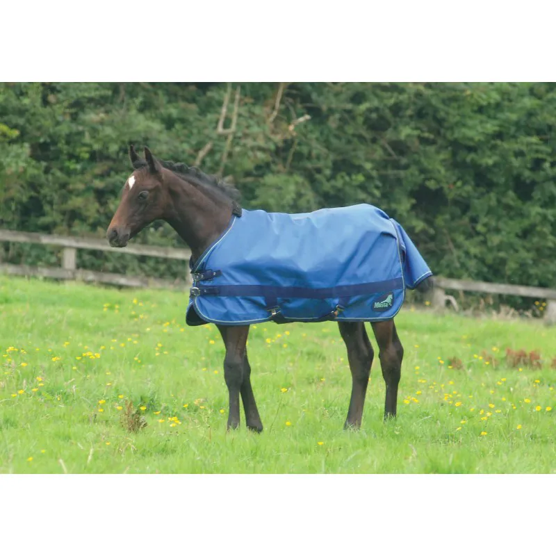 Masta Zing Light Turnout Foal Rug - Ocean Blue